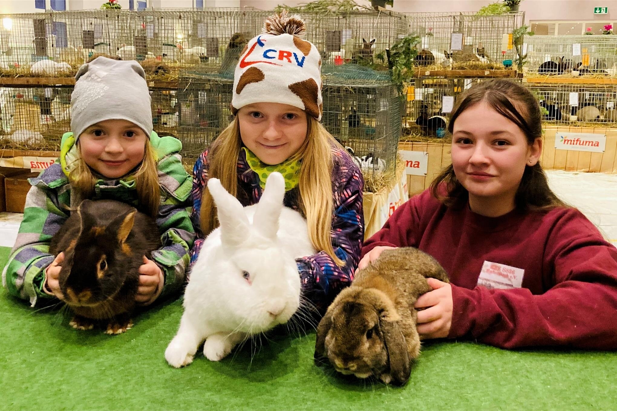 „Alter Hase“ hilft junger Züchterin aus dem Erzgebirge: Wie die ...