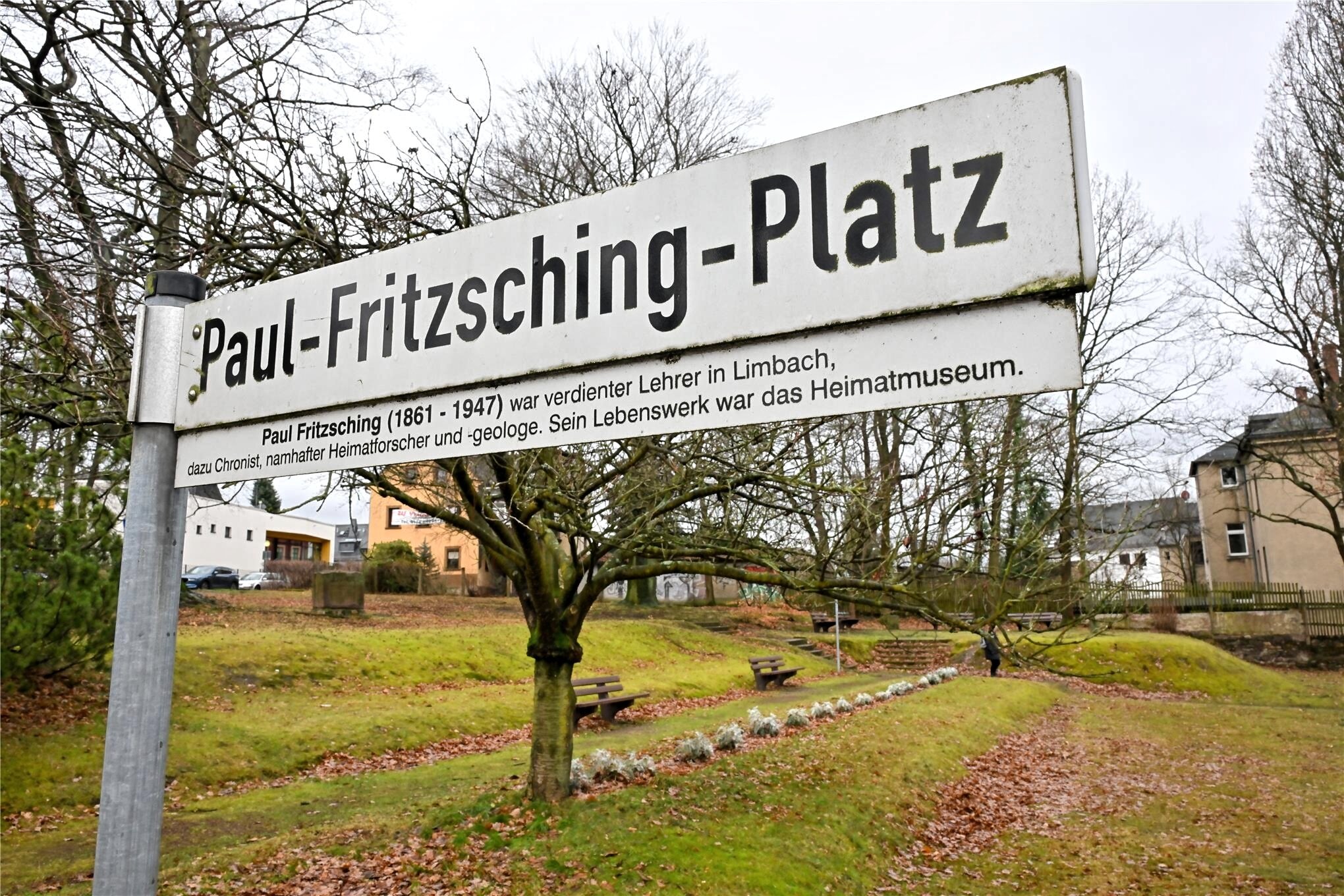 Baum am Paul-Fritzsching-Platz in Limbach-Oberfrohna weg: Was hat es ...
