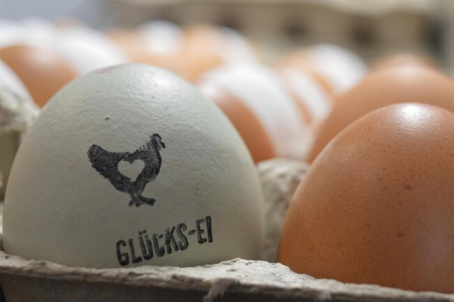 Eier, Likör und Nudeln: Frisches vom Bauernhof Zeidelweide kommt nach ...