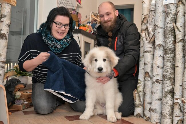 Erzgebirger fertigen Mode für den Hund: Was die Liebe zu einem Mops und ...