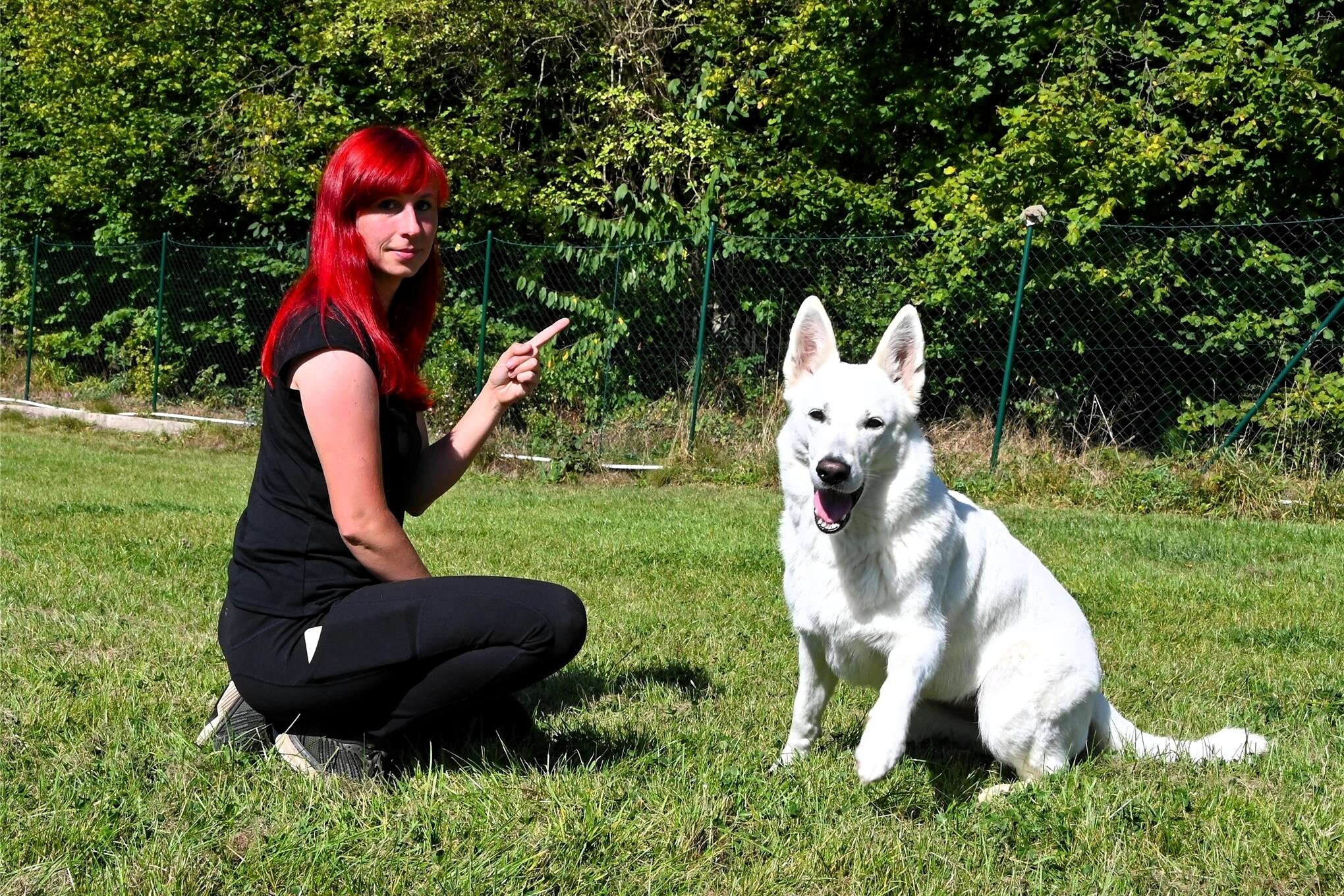 Giftköder in Frankenberg: Hundebesitzerin findet mit Tabletten gefüllte ...