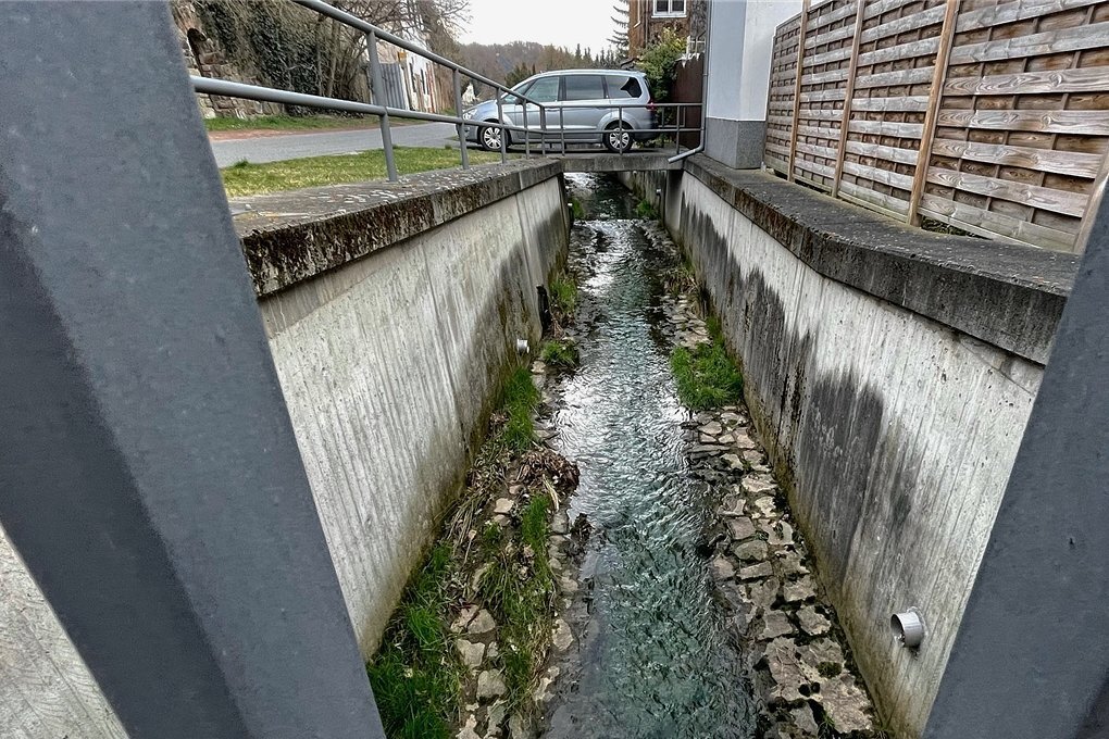 Grünfärbung im Bach in Meerane AZV-Chef gibt Entwarnung