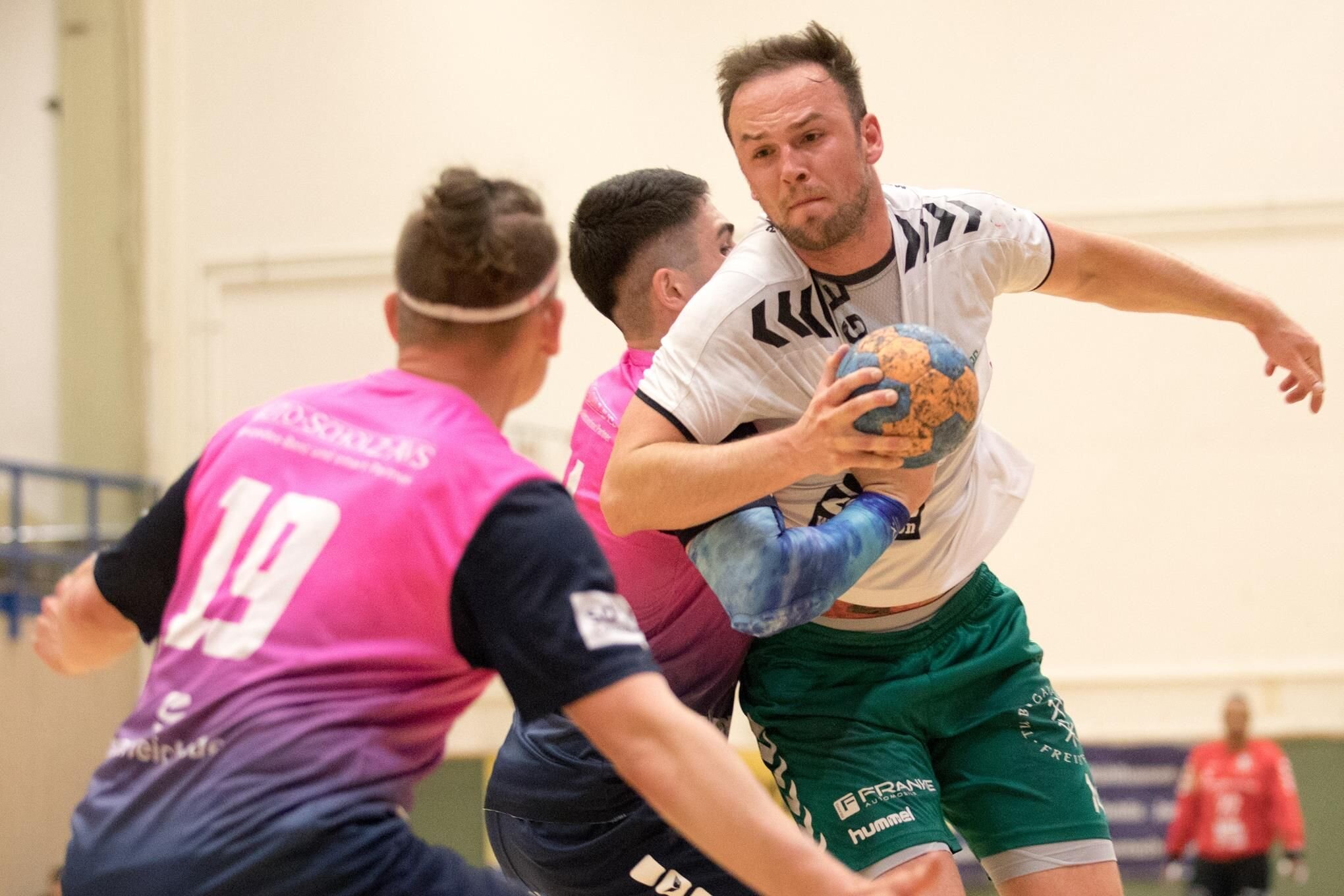 HSG Freiberg: Vier „alte“ Dachse kehren zurück