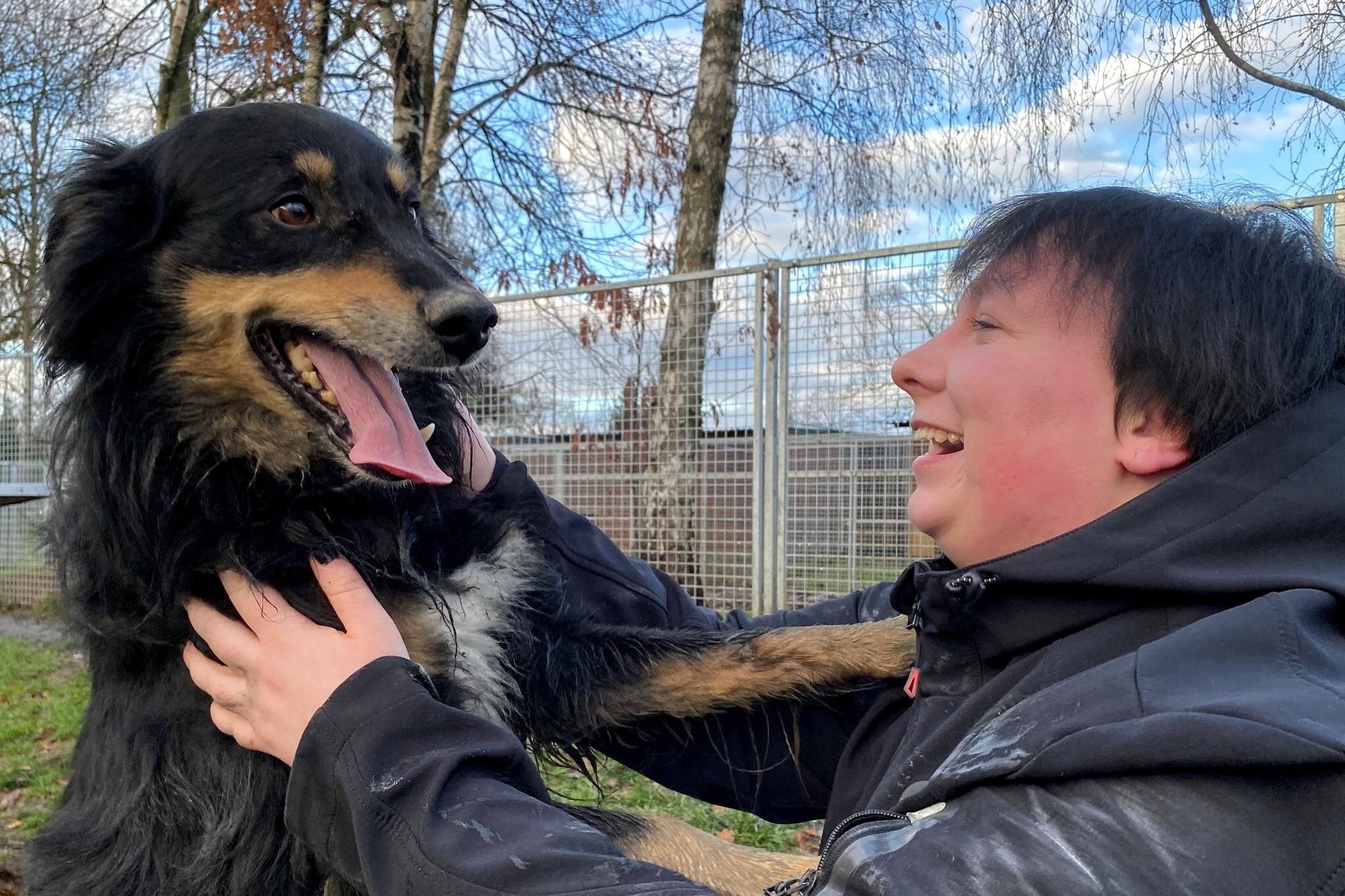 Hund über Tierheim-Zaun in Limbach entsorgt: „Solche Menschen wollen ...