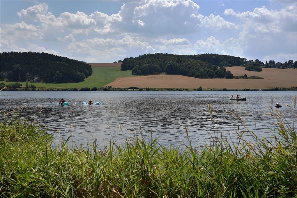 In der Talsperre Pirk beginnt das Algenwachstum