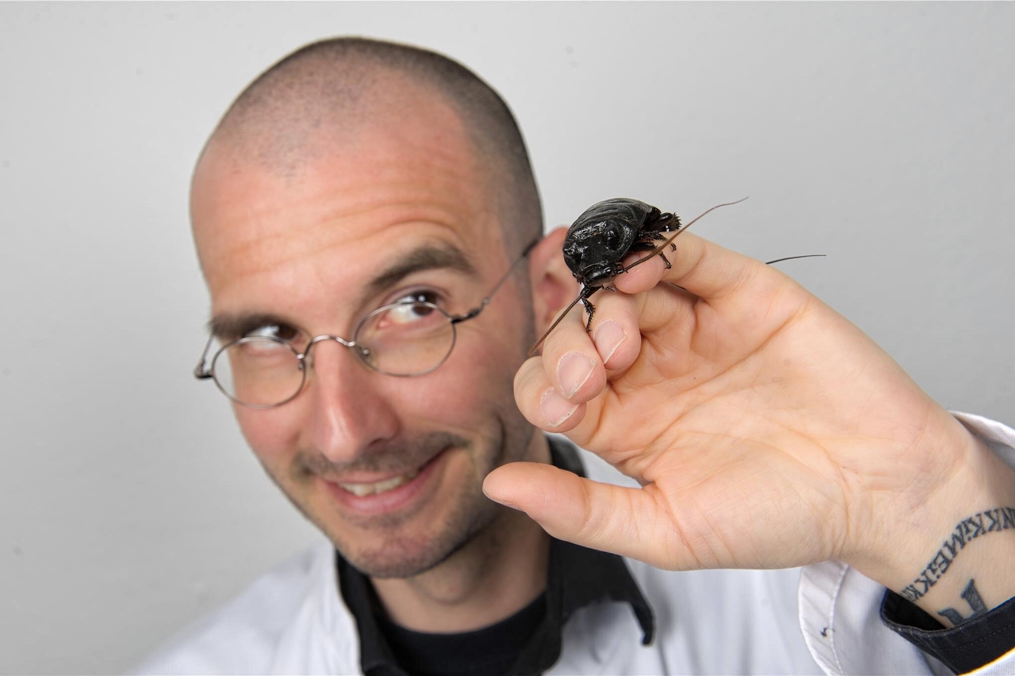 Madenpapst in Zwickau: Kann eine Frau einen Mann mit ihren Brüsten ...