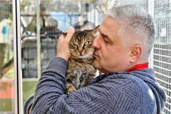 Nach Unfalltod von Mitarbeiterin in Freiberg: "Es war der traurigste ...