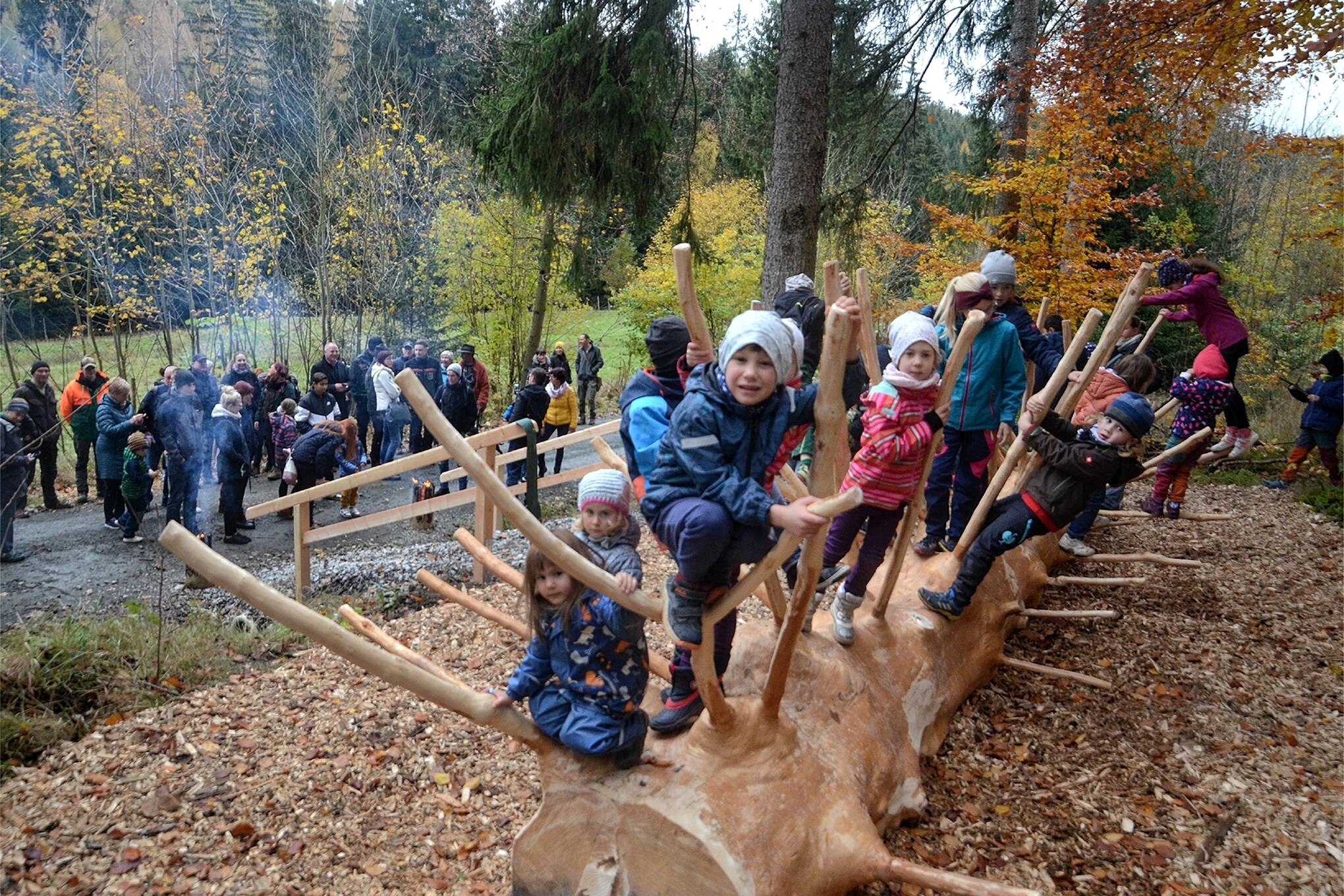 Neue Touristenattraktion im Vogtland: Walderlebnispfad verknüpft Wissen und Fitness