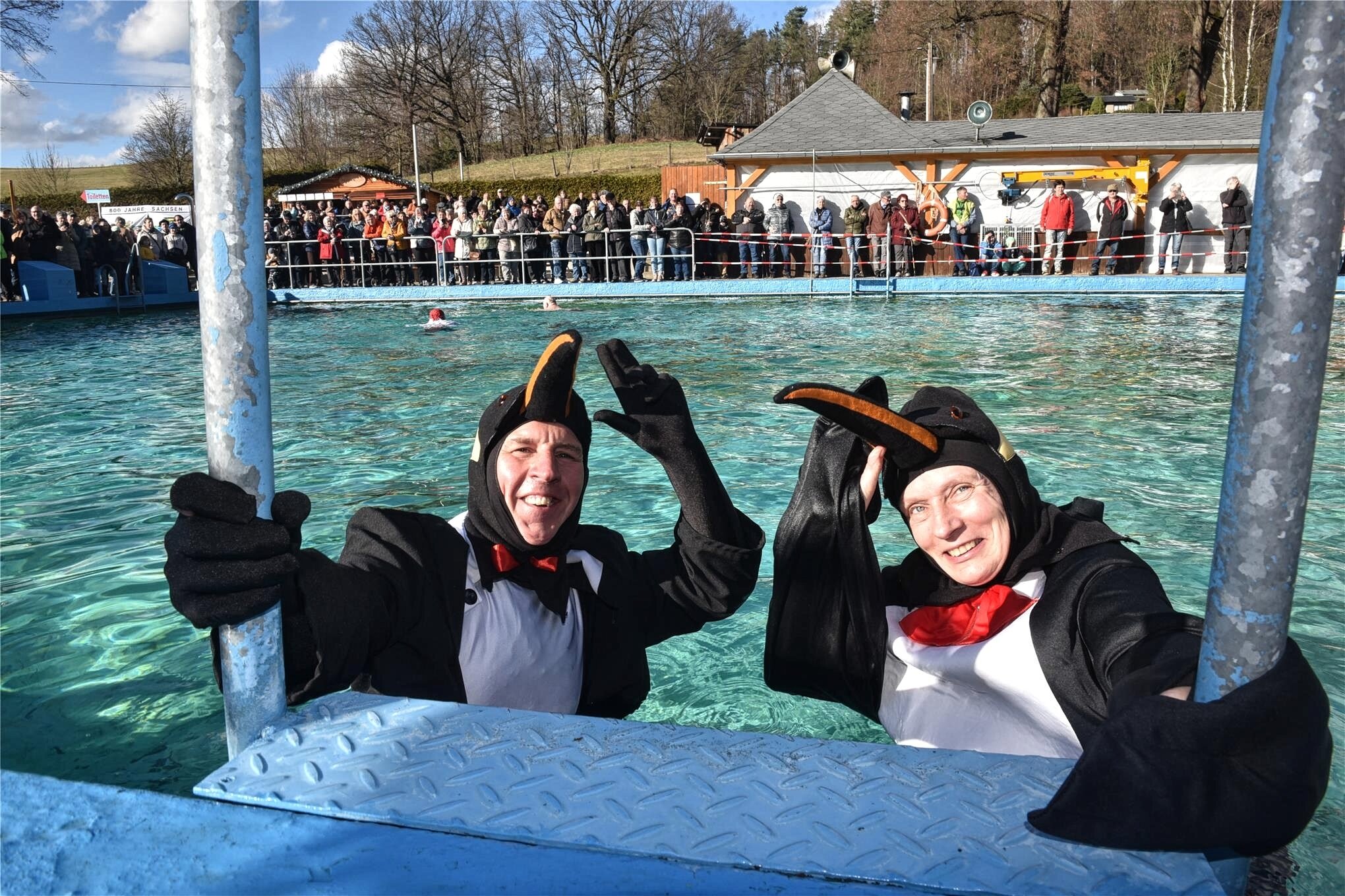 Treff der Winterschwimmer im Naturbad Falkenau: Pinguine und Eishaie ...
