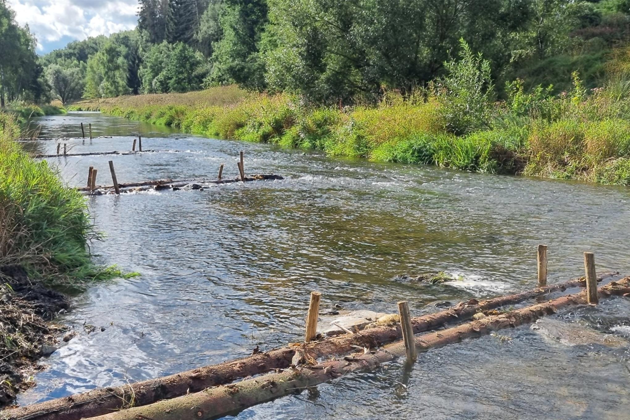 Umgestaltung der Freiberger Mulde bei Großschirma abgeschlossen