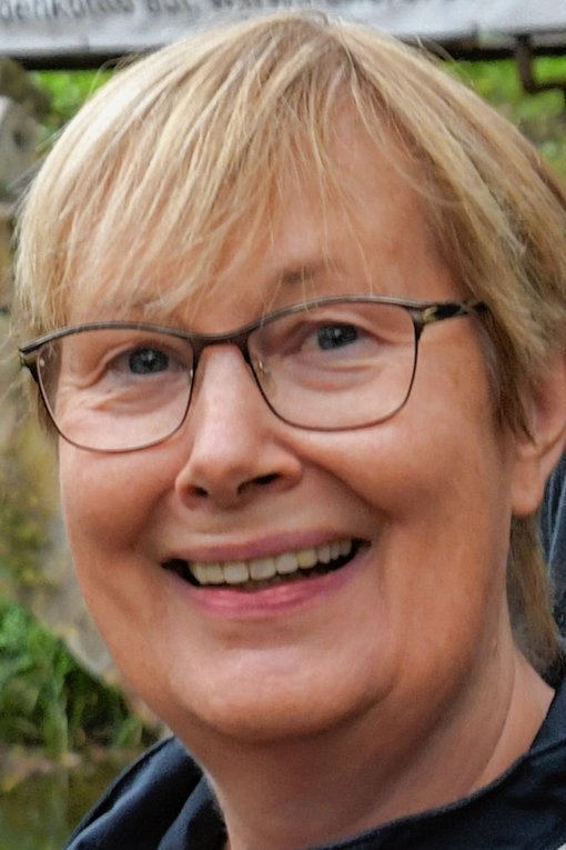 Ungewöhnliche Rettungsaktion: Rund 3500 Euro für die Zollhausbrücke ...