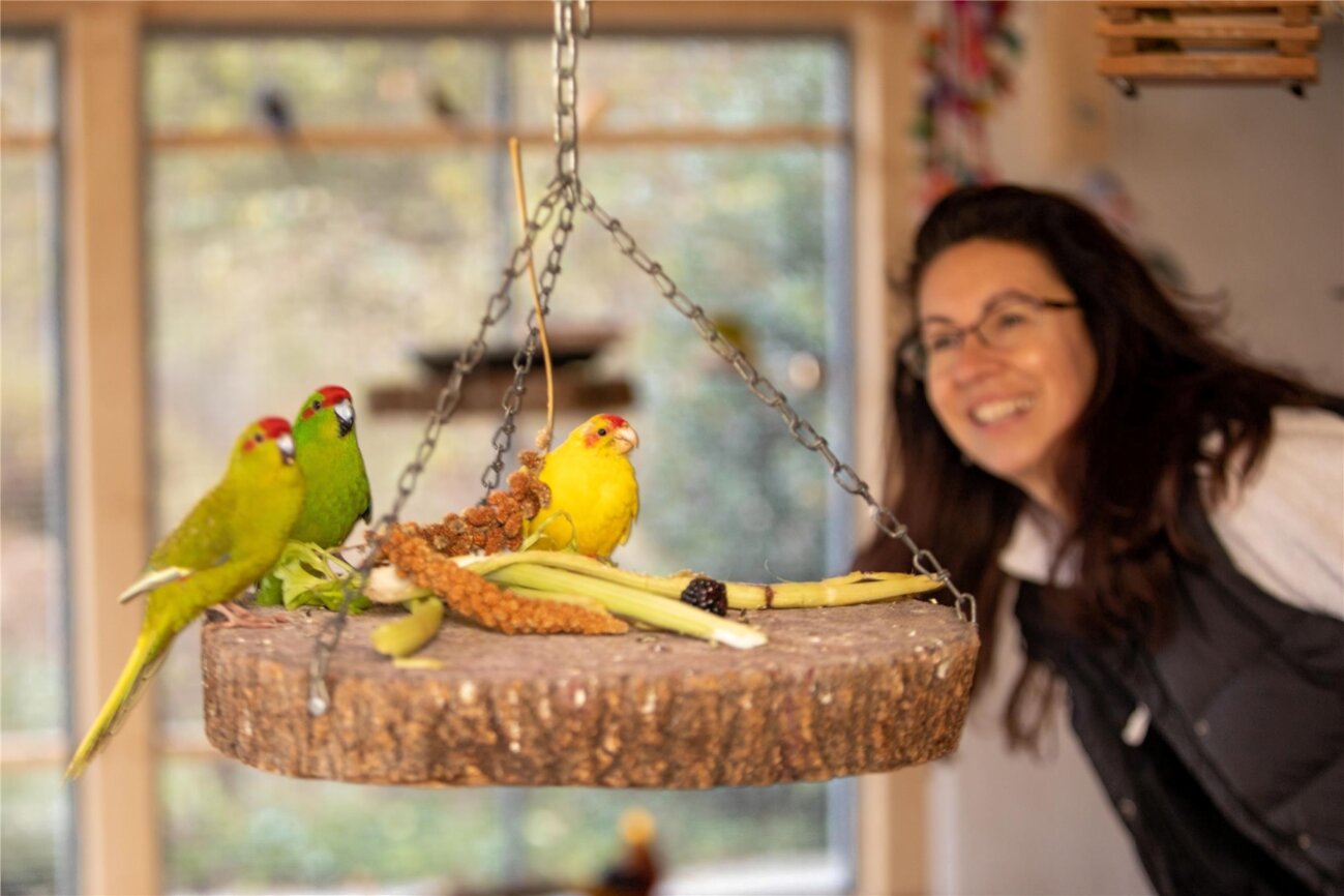 Vögel kehren in frisch sanierte Volieren im Plauener Stadtpark zurück - doch eine Tierschützerin ...