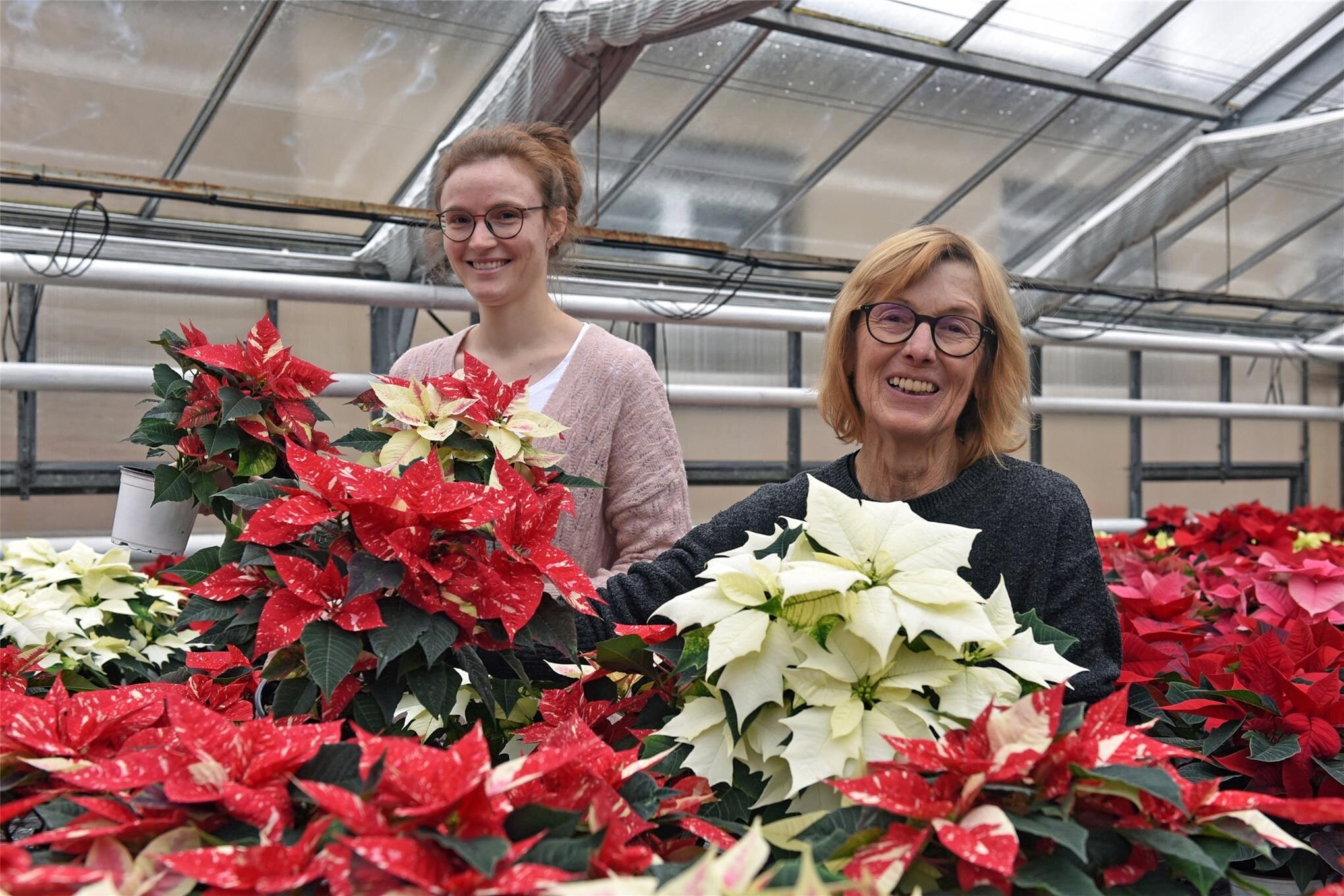 Von Adventsbasteln und Whiskey-Verkostung: Das bietet der lebendige ...
