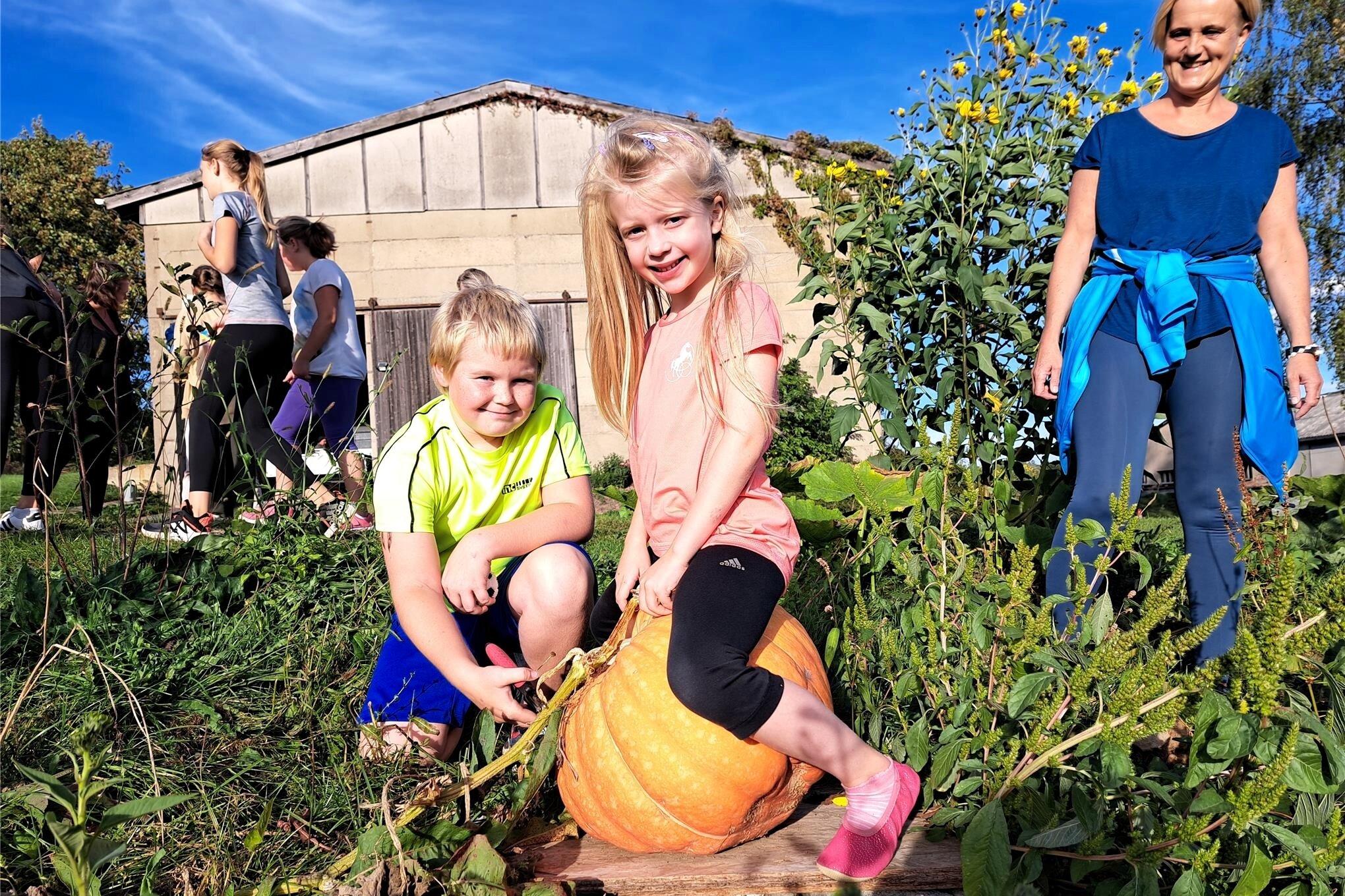 Weischlitzer lassen am Samstag Drachen steigen, feiern Kürbisfest und ...