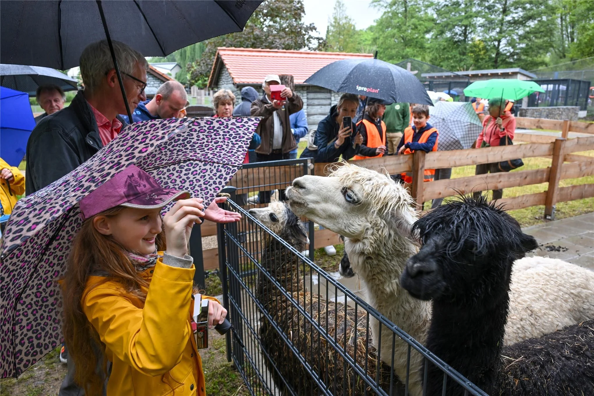 Wie arbeitet ein Tierpark? Ferienprogramm der Limbacher Bürgerstiftung ...